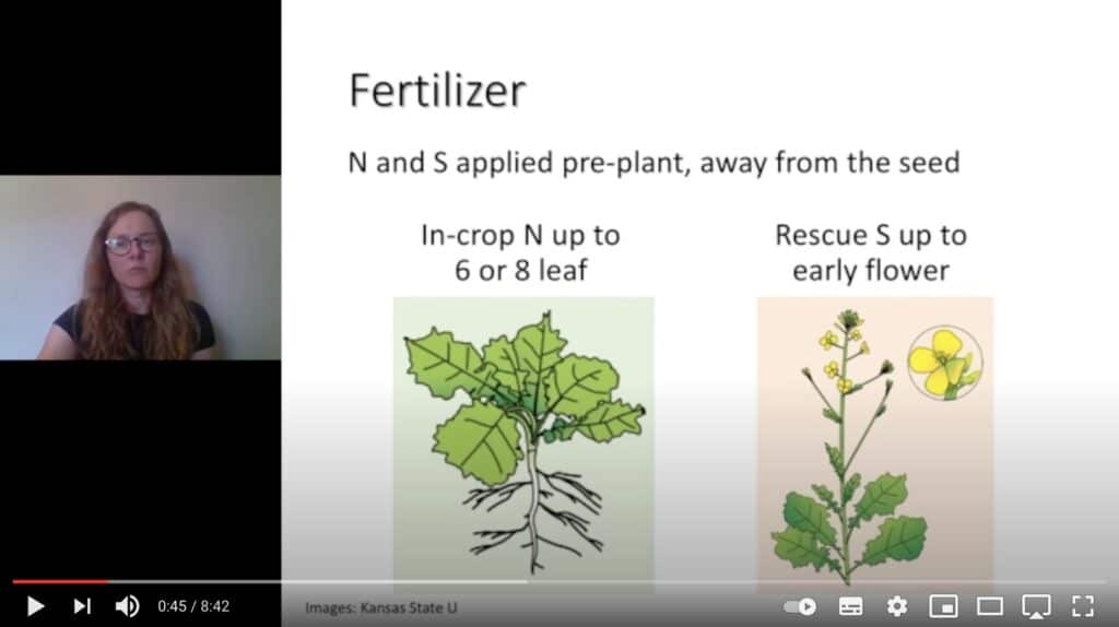 Home - Ontario Canola Growers
