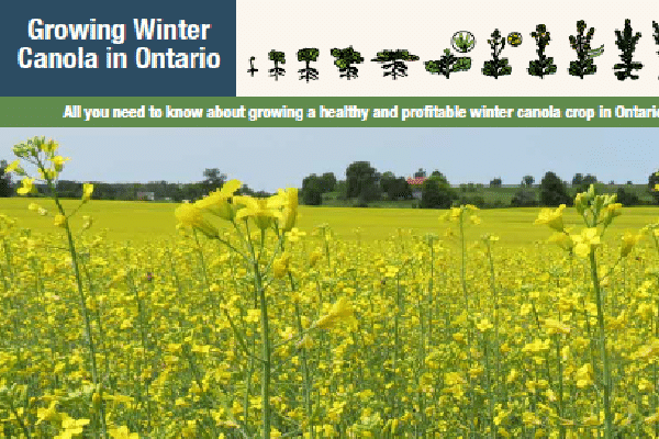 Cropping Info - Ontario Canola Growers